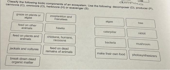 Solved decomposer Classify the following biotic components | Chegg.com