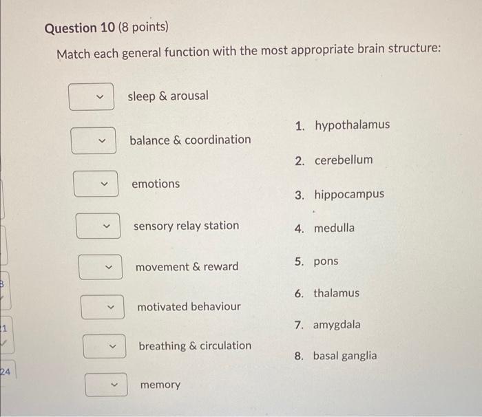 Solved Question 7 (6 points) Match each description with the | Chegg.com