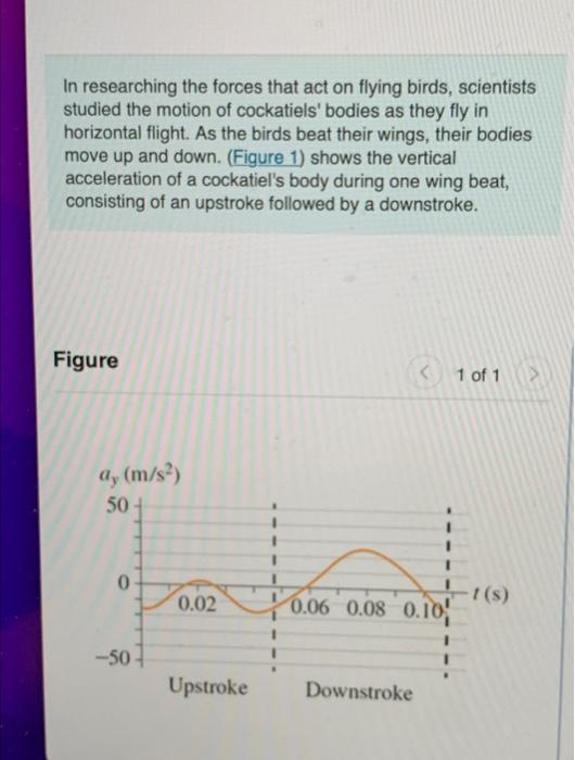Solved In researching the forces that act on flying birds, | Chegg.com