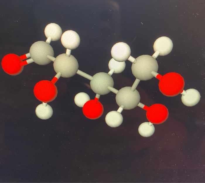 Solved Draw the Fischer Projection and identify the | Chegg.com