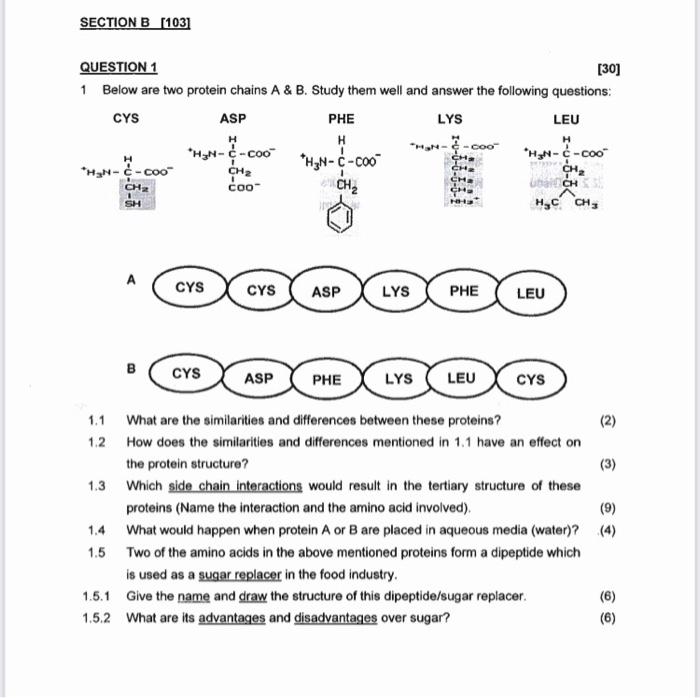 Solved QUESTION 1 [30] 1 Below are two protein chains A \& | Chegg.com