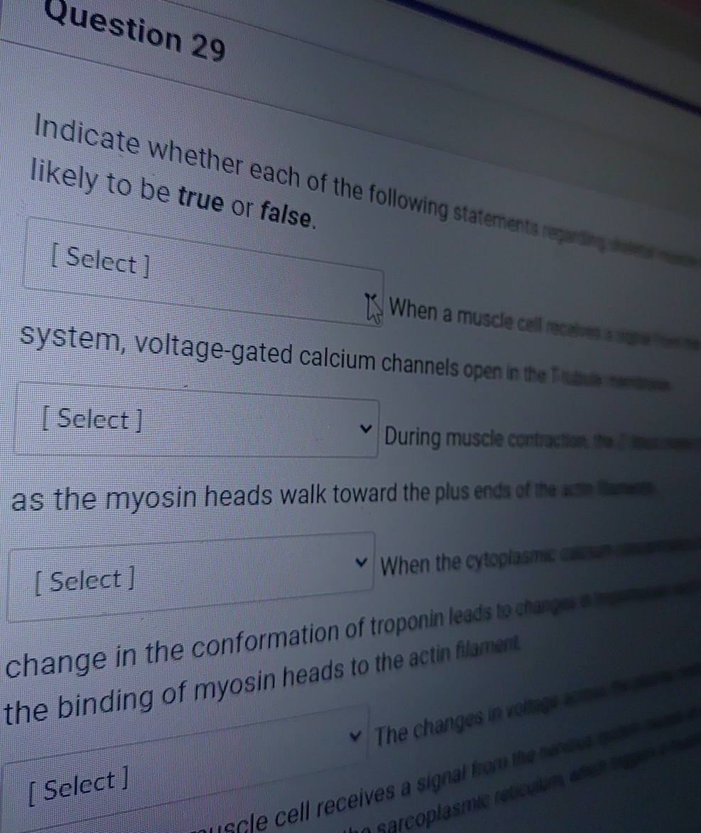 Solved Indicate whether each of the following | Chegg.com