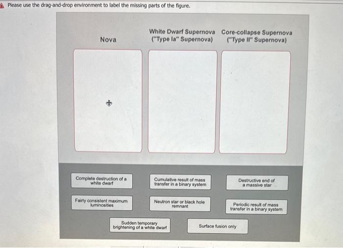 Solved Please use the drag-and-drop environment to label the | Chegg.com