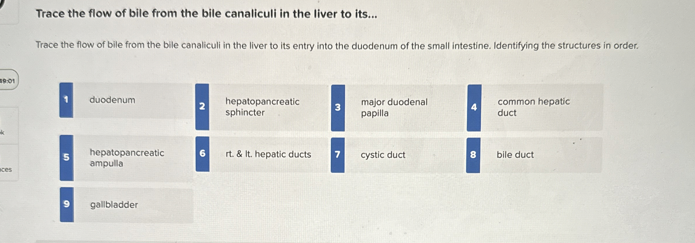 Solved Trace the flow of bile from the bile canaliculi in | Chegg.com