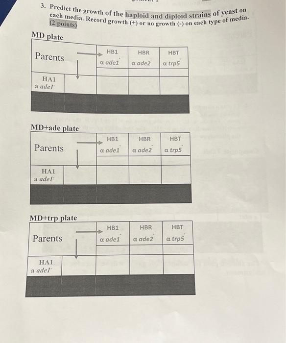 Solved Replica Plating was performed next day following the | Chegg.com