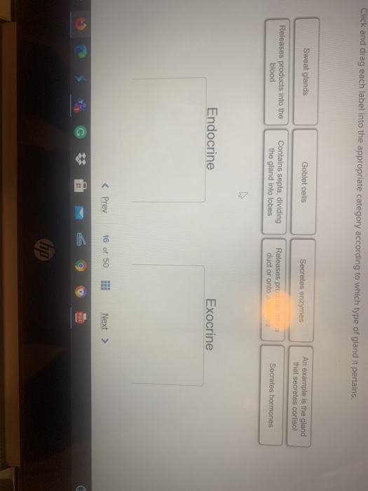 Solved Click and drag each label into the appropriate | Chegg.com