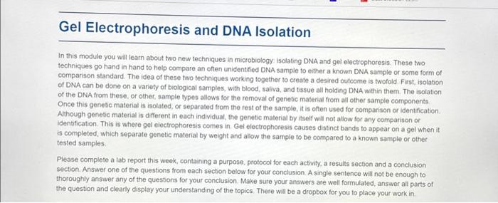 Solved Gel Electrophoresis and DNA Isolation In this module | Chegg.com