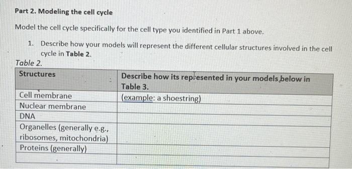 Solved Part 2. Modeling the cell cycle Model the cell cycle | Chegg.com