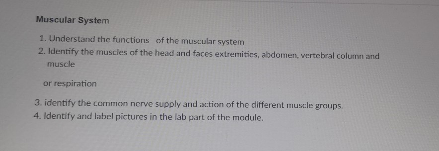 Solved A.Skeletal and Articular Systems 1. Give the general | Chegg.com