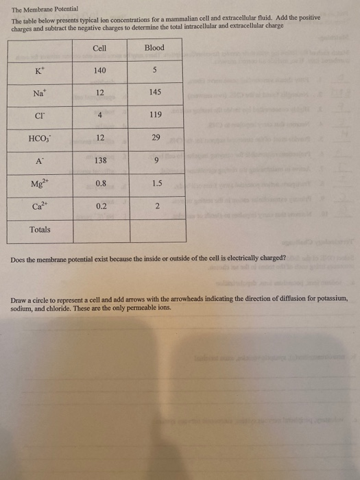 Solved The Membrane Potential The table below presents | Chegg.com