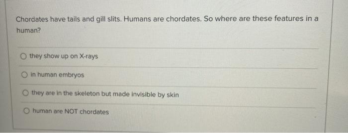 Solved Chordates Have Tails And Gill Slits Humans Are