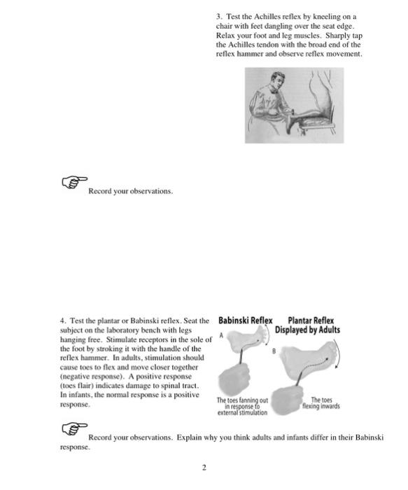 Solved Tendon and Cord Reflexes 1. Test the patellar or knee | Chegg.com