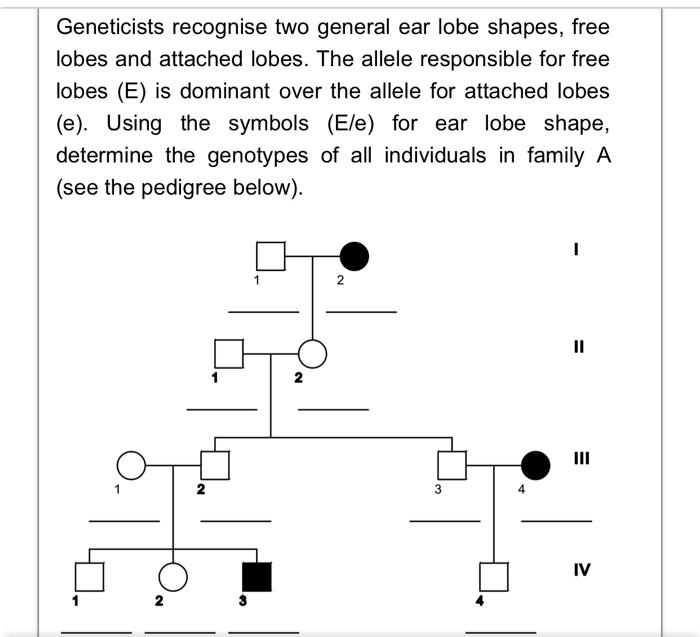 Solved Take Test: Pedigree TutorialGeneticists recognise two | Chegg.com