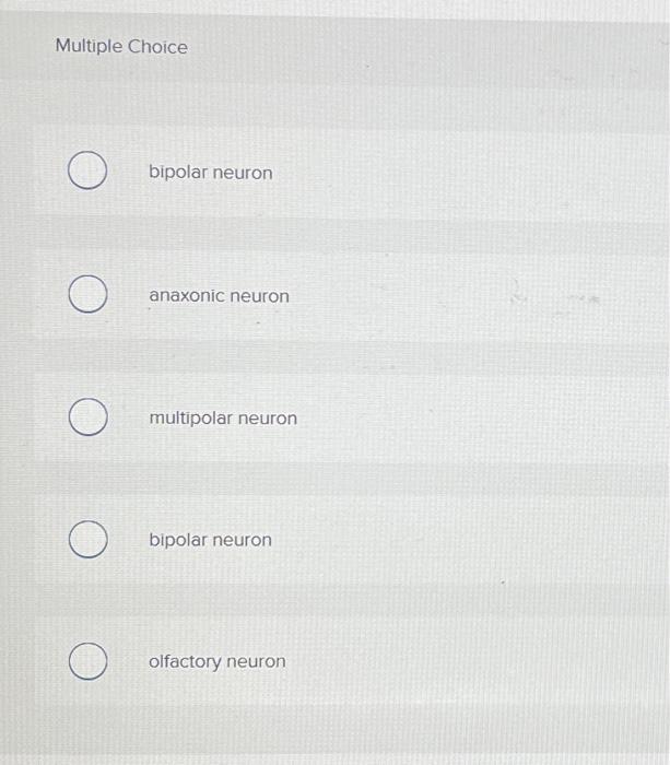 Solved Which structure is highlighted? Multiple Choice | Chegg.com