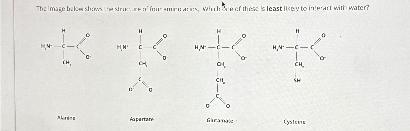 Solved The image below shows the structure of four amino | Chegg.com