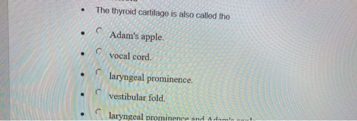 Solved 01 The thyroid cartilage is also called the Adam's | Chegg.com