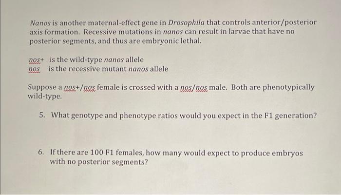 Solved Developmental Genetics Virtual Lab In this virtual | Chegg.com