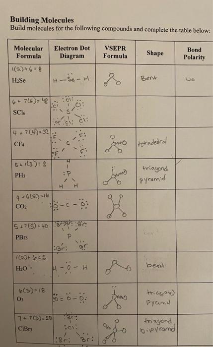 Solved Build molecules for the following compounds and | Chegg.com