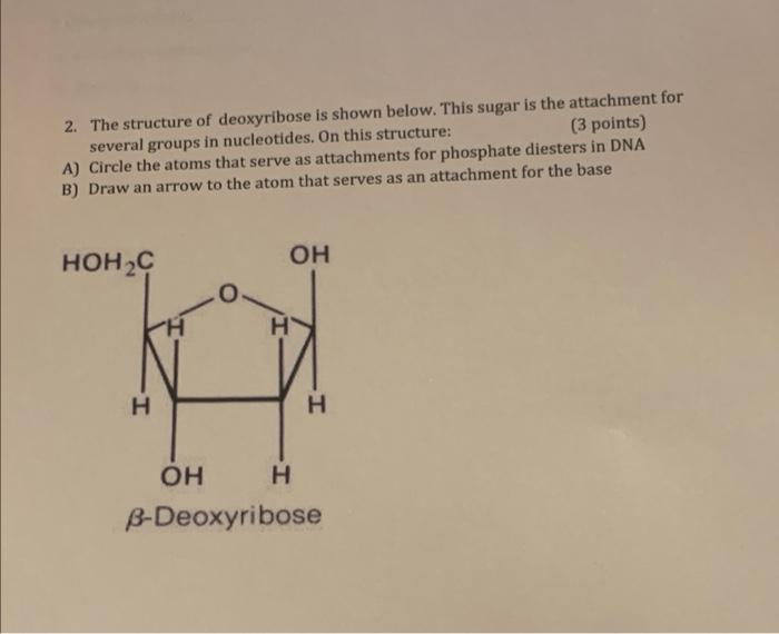 Solved 2. The structure of deoxyribose is shown below. This | Chegg.com