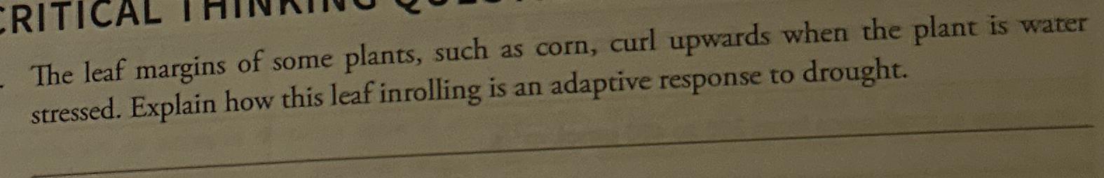 Solved The leaf margins of some plants, such as corn, curl | Chegg.com