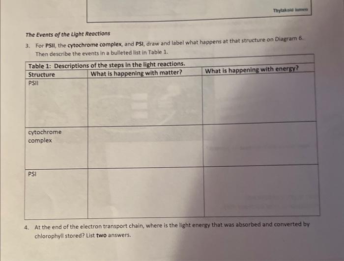 Solved The Events of the Light Reactions 3. For PSII, the | Chegg.com
