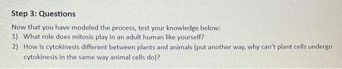 Solved Step 3: Questions Now that you have modeled the | Chegg.com