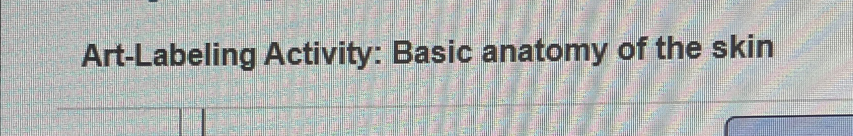 Solved Art-Labeling Activity: Basic anatomy of the skin | Chegg.com