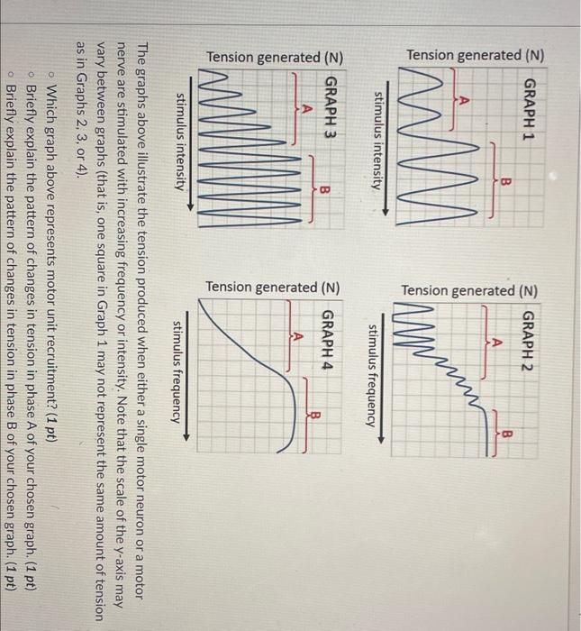 Solved The graphs above illustrate the tension produced when | Chegg.com