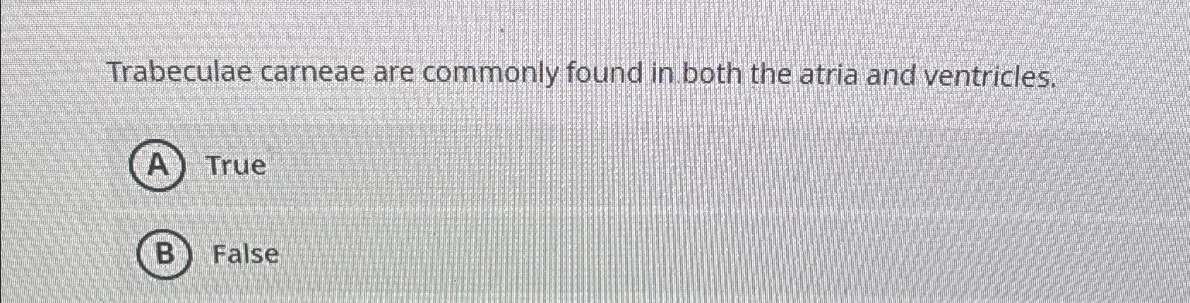 Solved Trabeculae carneae are commonly found in both the | Chegg.com