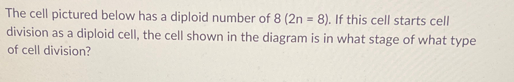 Solved The cell pictured below has a diploid number of )=(8. | Chegg.com