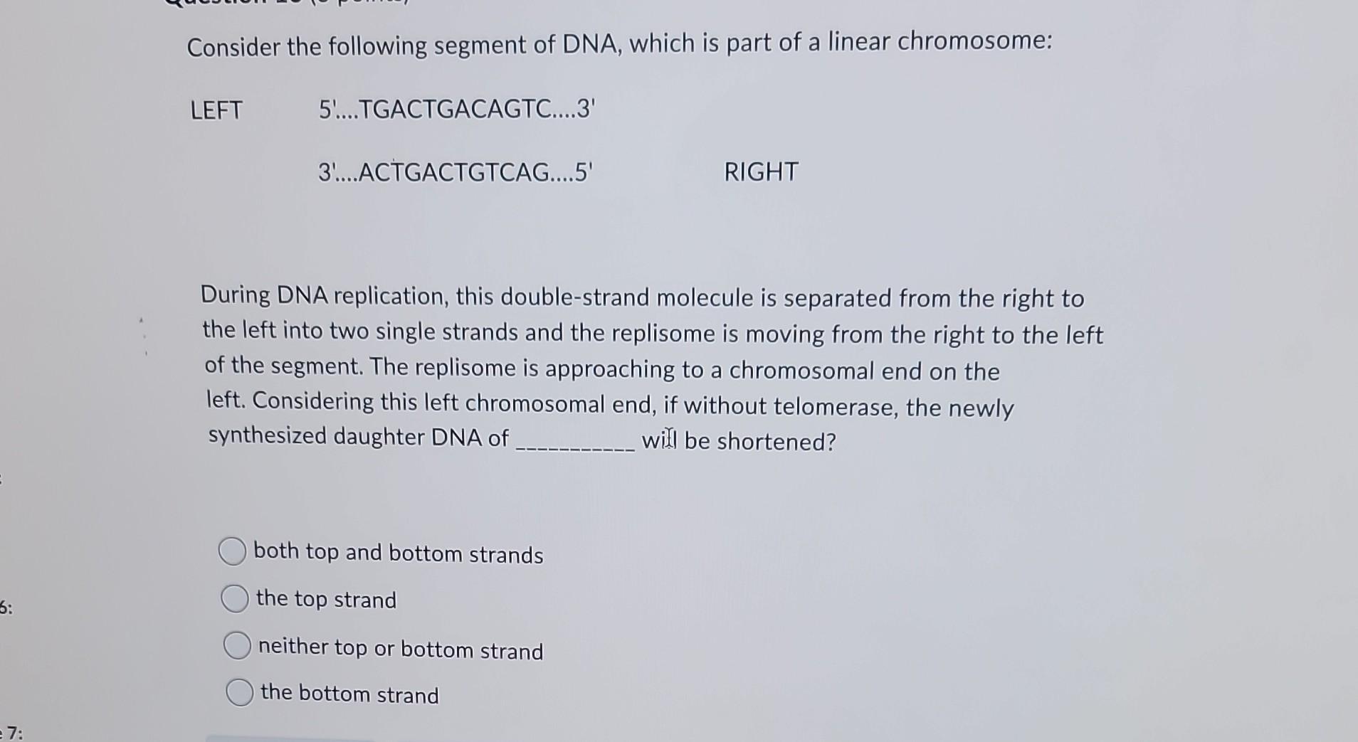 Solved Consider the following segment of DNA, which is part | Chegg.com
