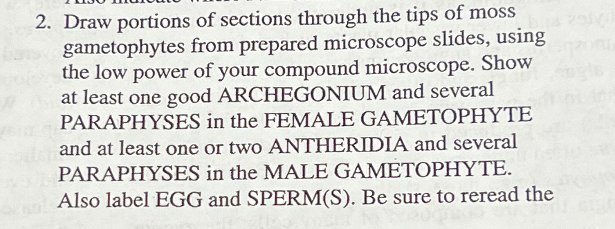 Solved Draw portions of sections through the tips of moss | Chegg.com