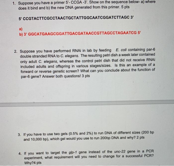 1. Suppose you have a primer 5'- CCGA-3'. Show on the | Chegg.com