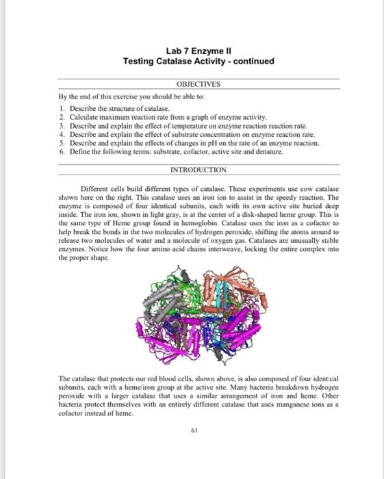 Lab 7 Enzyme II Testing Catalase Activity - continued | Chegg.com