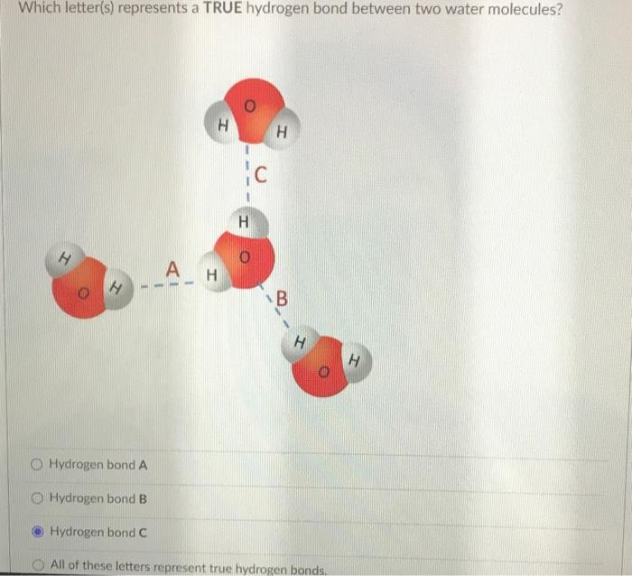 Solved Which letter(s) represents a TRUE hydrogen bond | Chegg.com