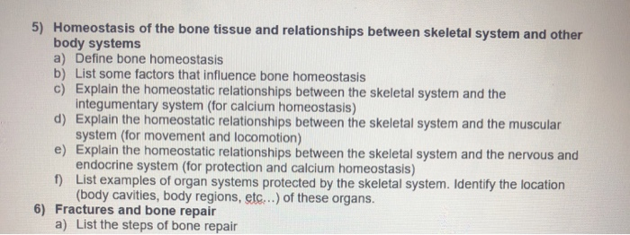 Solved 5) Homeostasis of the bone tissue and relationships | Chegg.com