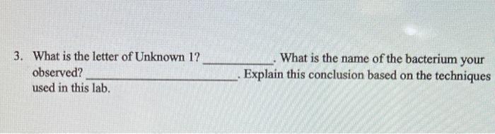 Solved Unknown C Gram Stain MSA Test Blood Test Catalase | Chegg.com
