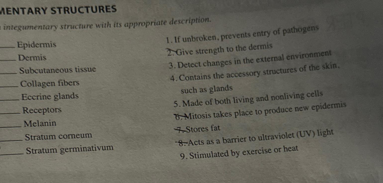 Solved MENTARY STRUCTURESintegumentary structure with its | Chegg.com