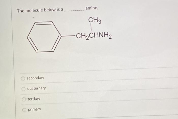 Solved amine, The molecule below is a CH3 -CH2CHNH2 | Chegg.com