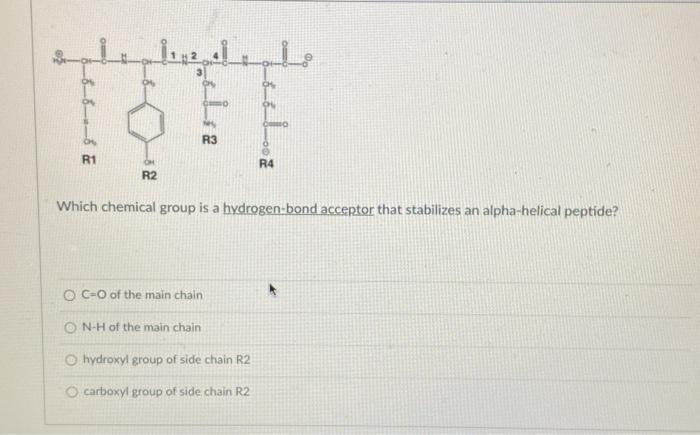 Solved R3 R1 R4 R2 Which chemical group is a hydrogen-bond | Chegg.com