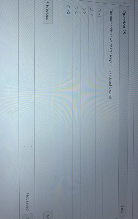 Solved Question 251 ﻿ptsthe Nucleotide At Which 6605