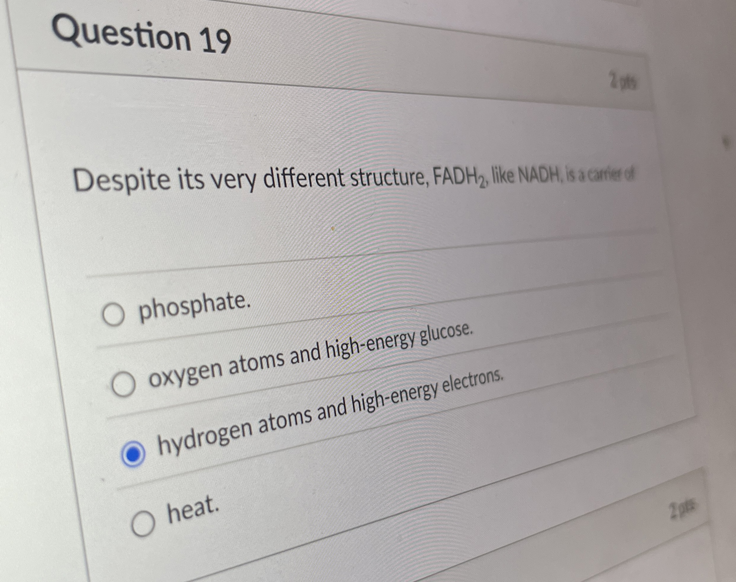 Solved Question 19Despite its very different structure, FADH | Chegg.com