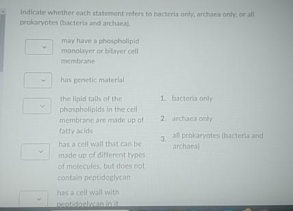 Solved Indicate whether each statement refers to bacteria | Chegg.com