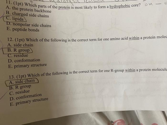 Solved 1. (1pt) Which parts of the protein is most likely to | Chegg.com