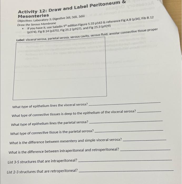 Solved Activity 12: Draw and Label Peritoneum \&e | Chegg.com