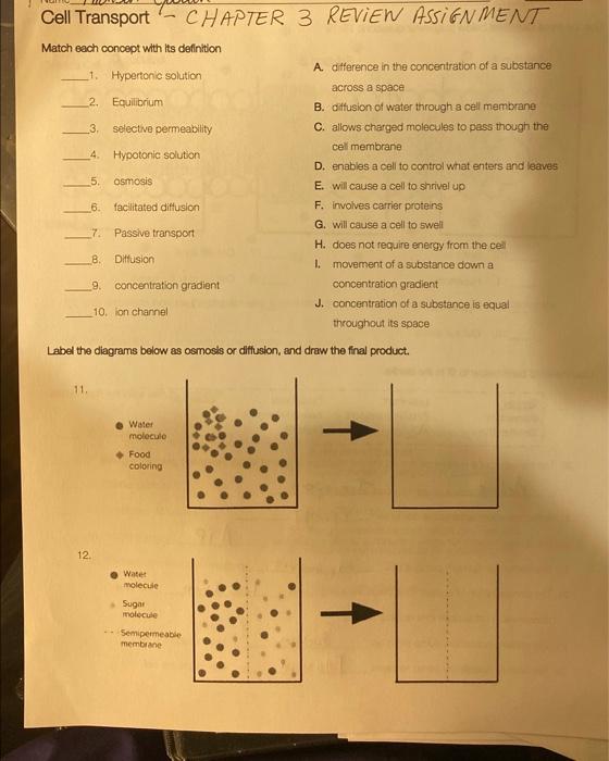 Solved Match each concept with its definition 1. Hypertonic | Chegg.com