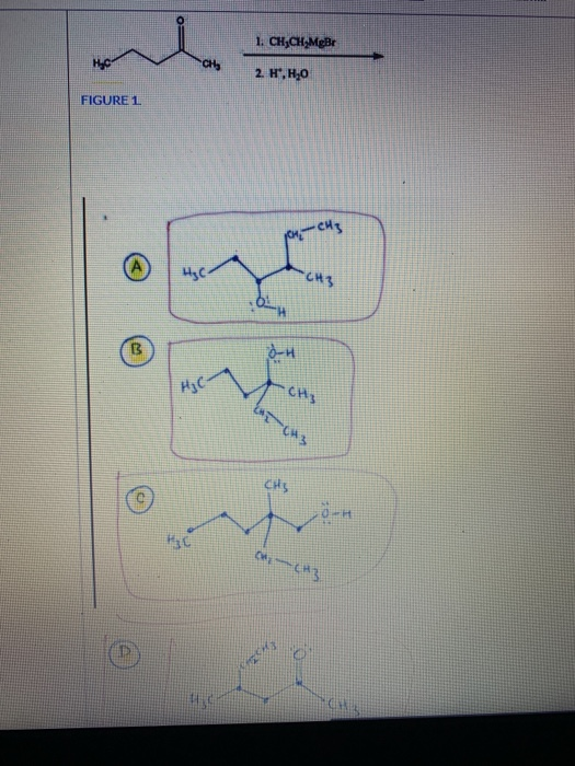 Solved 1. Сн,смев HC CH 2 не,но FIGURE 1 - сч H₂C. си; B сиз | Chegg.com
