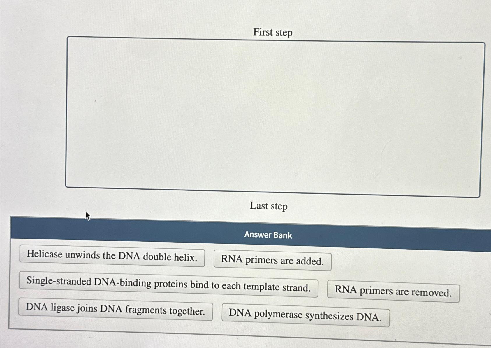 Solved First stepLast stepAnswer BankHelicase unwinds the | Chegg.com