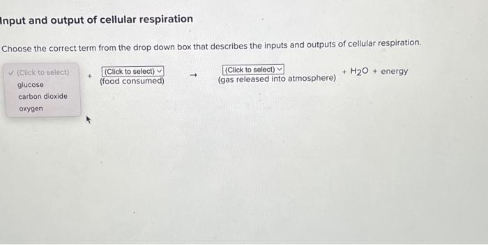 Solved Input and output of cellular respiration Choose the | Chegg.com