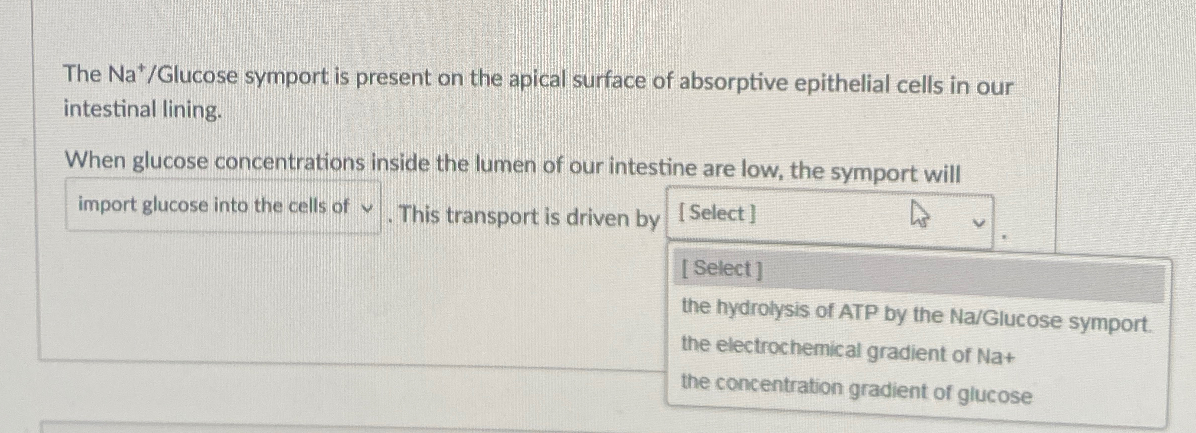 Solved The Na+/ ﻿Glucose symport is present on the apical | Chegg.com